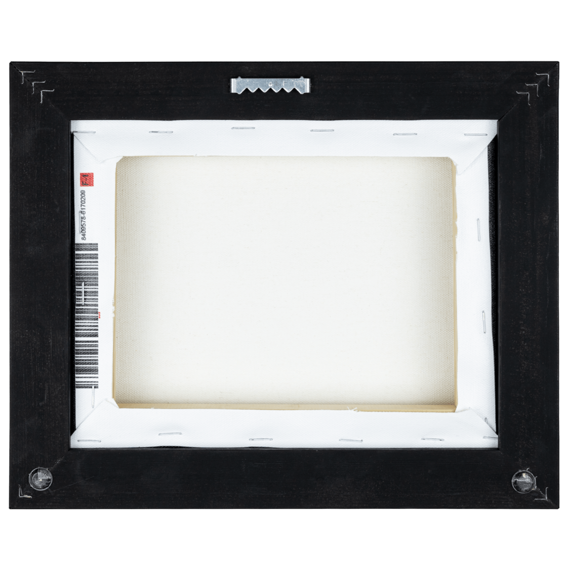 Framed Canvas Teelaunch